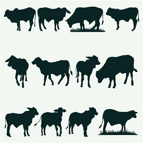 Cow Silhouette Illustration 20919193 Vector Art At Vecteezy