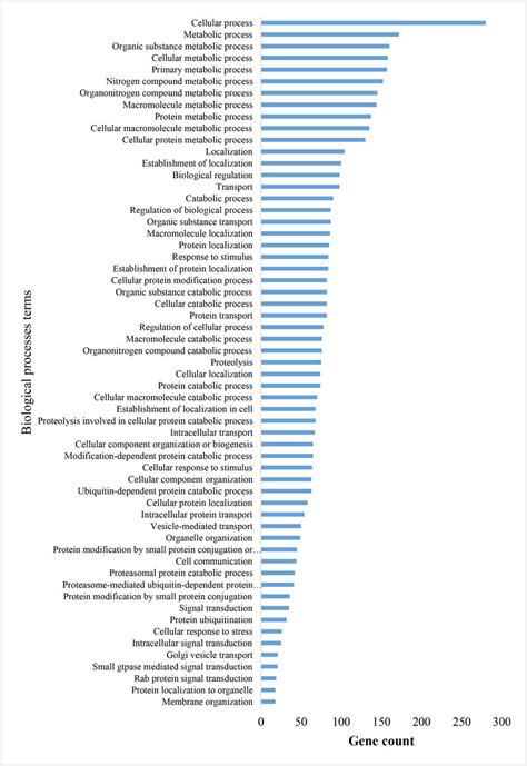 Gene Ontology Enrichment Analysis Biological Process Of The Download Scientific Diagram