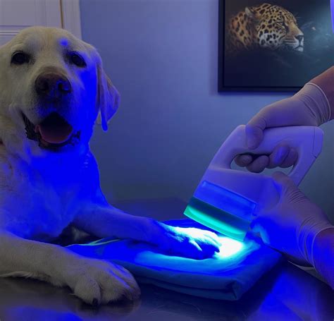 Phovia Biomodulation By Fluorescence Bmf News And Blog