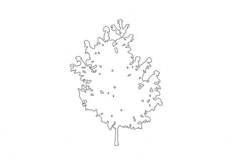Free Tree Elevation Cad Block Dwg Dxf Pdf Format Free Cads
