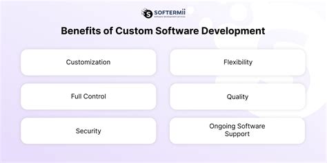 No Code Low Code Vs Custom Software Development Guide