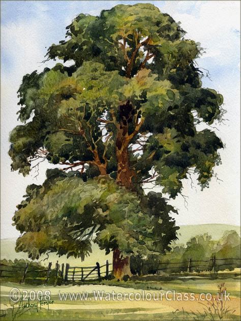 Watercolor Trees Youtube A Simple Watercolor Tree Try Out Youtube