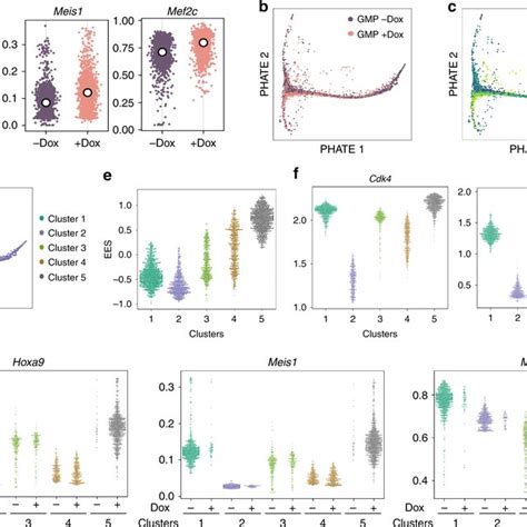 Mll Af9 Preserves The Heterogeneous Gene Expression States As Analyzed Download Scientific