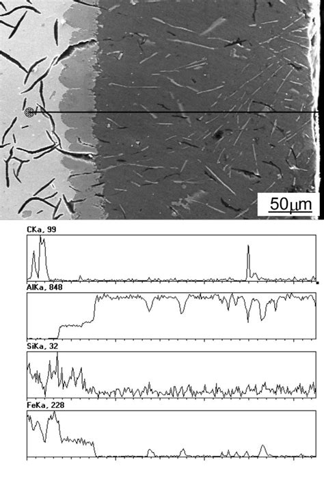A Cross Sectional Sem Micrograph Of The Cast Iron Specimen Hot Dip Download Scientific Diagram