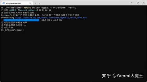 如何使用winget彻底替代各种管家的软件管理工具 知乎