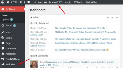 How To Add Google Search Console To WordPress SEOSLY Olga Zarr