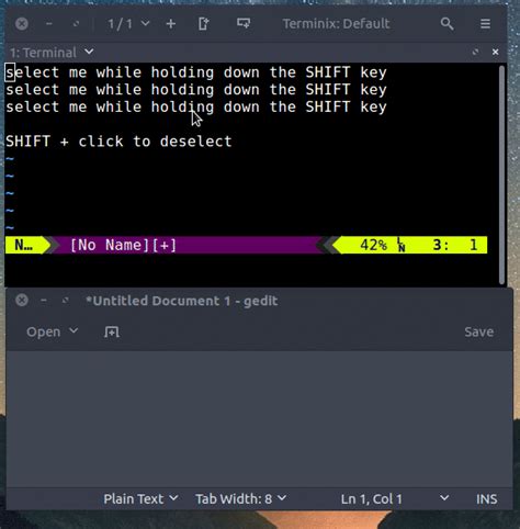 clipboard how to copy text from vim to an external program unix