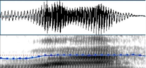 Phonetics Quiz 2 Flashcards Quizlet