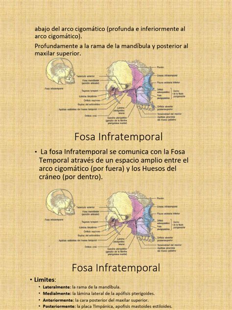 Región Infratemporal Pdf