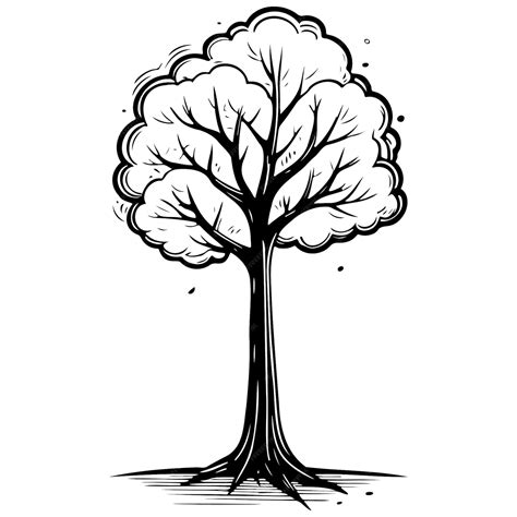 Tree Drawing Outline Cartoon Line Vector Engraving With Transpiderarent Background Premium Ai