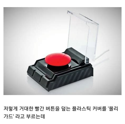빨간 버튼을 덮는 플라스틱 커버 이름 유래 잇싸