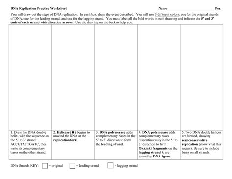 Dna And Replication Worksheet E