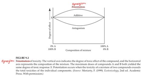 Lecture 18 Flashcards Quizlet