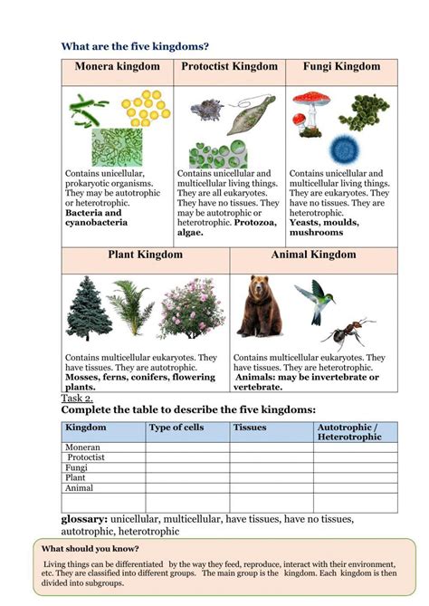 Classifying Living Things Worksheets Classifying Living Things Lesson