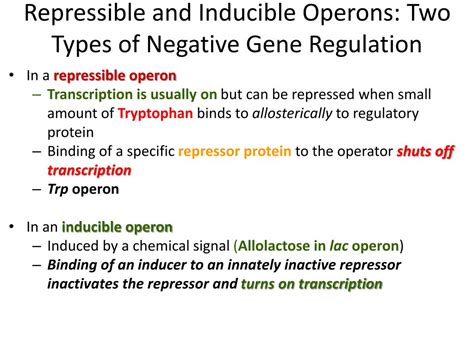 Ppt Chapter 15 Regulation Of Gene Expression Powerpoint Presentation