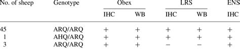 Prp Genotypes And Results Of Prp Sc Ihc And Wb In The Obex Lrs Download Table