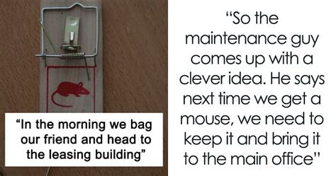 Maintenance Asks Tenant To Provide Proof Of Mouse Infestation By Bringing What They Catch To