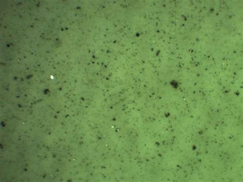 Particle Size Analyzer At Best Price In Pune By Metnation Technologies ID 20251281191