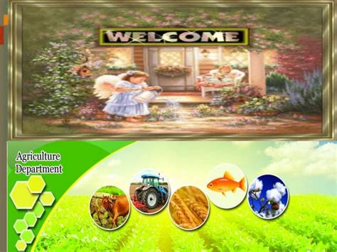 Poverty Alleviation Through Community Extension Services A Presentation By Mr Allah Dad Khan