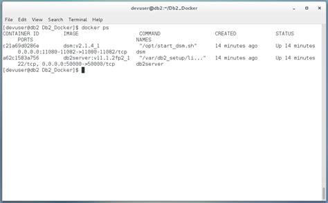 How To Install Ibm Db2 Developer Edition On Centos 7 Using Docker