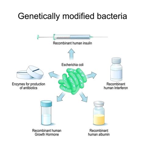 20 Antibiotics Resistance E Coli Stock Vectors And Vector Art Shutterstock
