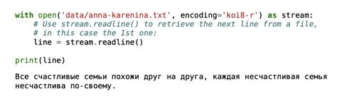 Minted Characters Are Not Displayed Correctly By Using Firamono Font