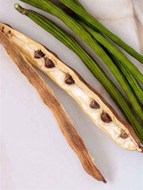 Moringa Tree Poppys Wild Kitchen