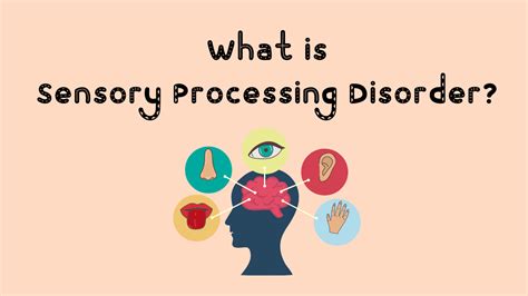 What Is Sensory Processing Disorder Spd
