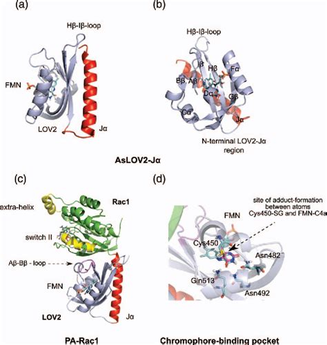 Figure 1 From A Novel Computer Simulation Method For Simulating The Multiscale Transduction
