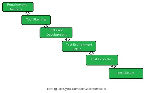 Testing Life Cycle