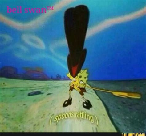 Pm If U Want Bobs And Vagen Nudes Dicc Picc Dank Memes Amino