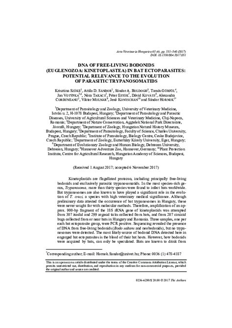 Pdf Dna Of Free Living Bodonids Euglenozoa Kinetoplastea In Bat