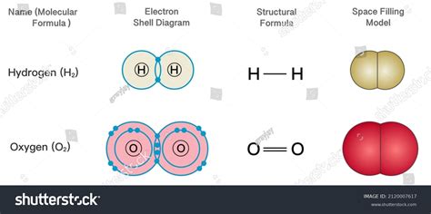 Electron Shell Diagram