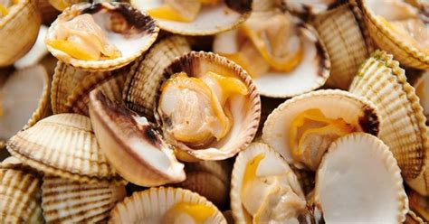 Which Is The Best Bivalve Shellfish Girlsaskguys