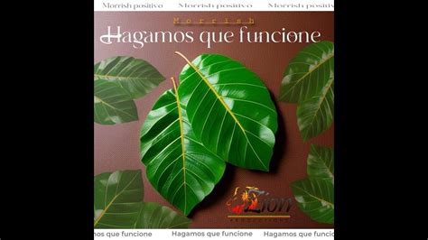 Morrish Hagamos Que Funcione Zion Productions 2024 Youtube