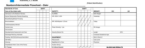 Icu Flowsheet ≡ Fill Out Printable Pdf Forms Online