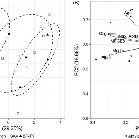 PCA Plot With Three Classification Groups A PCA Score Plot Of All