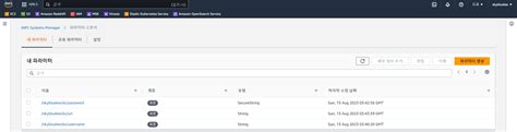 Aws Systems Manager Parameter Store