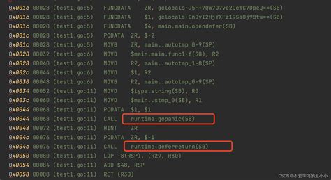 【go语言之panic和recover源码分析】go Panic Recover 源码 Csdn博客