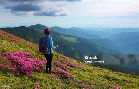 진달래 꽃의 나무와 잔디밭입니다 백 자루와 소녀입니다 흐린 하늘 높은 산 녹색 숲 풍경입니다 에코 관광 휴식 장소 아름 다운 여름 풍경입니다 가지 식물 부위에 대한 스톡