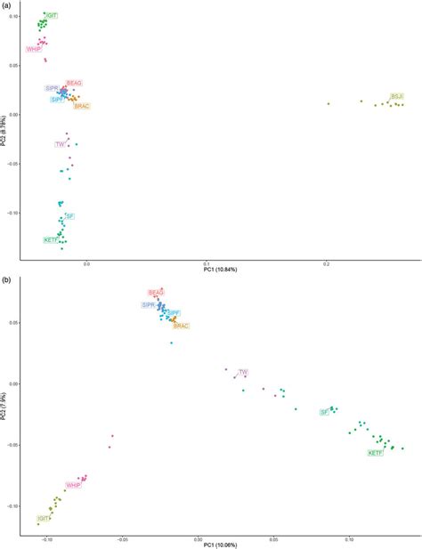 Multidimensional Scaling Analysis Plot Of The All The Individuals A