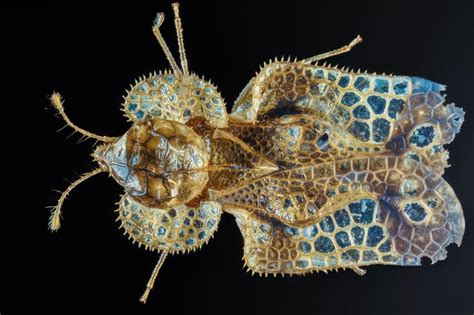 Debug Stick R Minecraftmemes