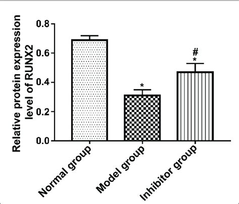 Relative Protein Expression Level Of Runx2 In Each Group Note P