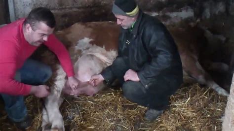 Ccccccccccccccccccccccccccc Youtube