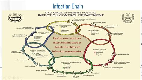 Infection Control Basic Concept Template