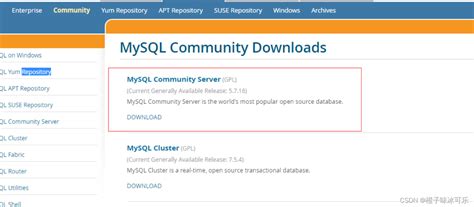 Windows与linux下mysql安装详细步骤 Csdn博客