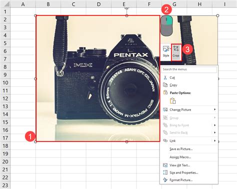Ways To Crop An Image In Microsoft Excel How To Excel Ways To Crop An Image In Microsoft Excel How To Excel
