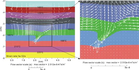 Fluid Flow Patterns And Thermal Field For Coupling Of Extension And Download Scientific Diagram