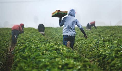 14 Different Types Of Farming Explained