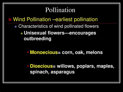 Flowers Ppt Download